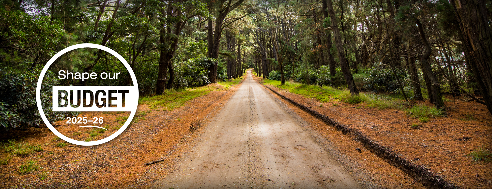 Budget 2025-26 | Shape Our Future